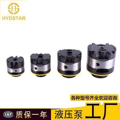 叶片泵泵芯  威格士VICKERS系列 V系列泵芯 25v17a泵胆维修件