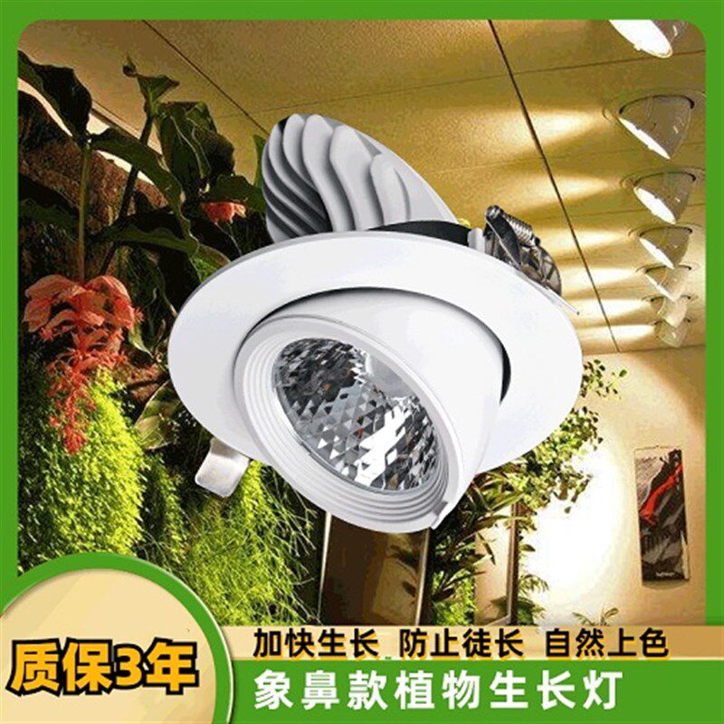 迈睿星全光谱嵌入式绿植墙象鼻植物生长灯仿太阳光补光植物射灯