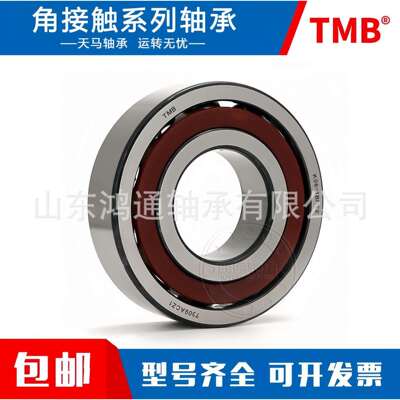 天马轴承TMB BM 7212/7214/7218/7219/7221/7222电动工具电机