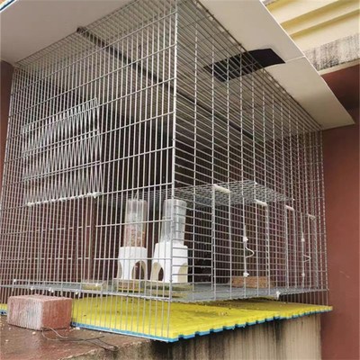 镀锌鸟笼鸽笼网格长孔网片防护网狗笼地网养殖网加粗加密焊接网片