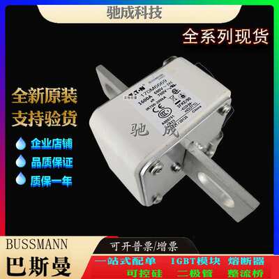 巴斯曼170M6660 170M6661 170M6662 原装进口 价优 低压保险丝