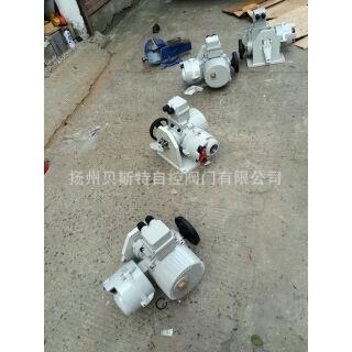 电动执行机构瑞基RAⅢ15AF14B4 0.55kW IP68 RJ06 RJ09 RJ19主板