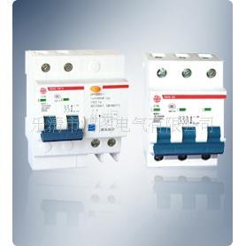 ZB30L-63D系列 小型漏电断路器