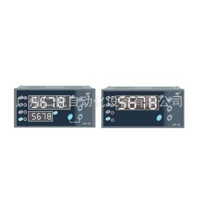 WP-D445-020-12-N-T上润智能简易操作器手操器双屏数字显示控制仪