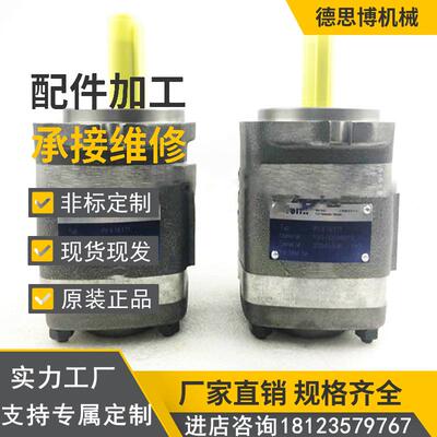 原装VOITH福伊特液压泵IPVP7-125/160-111齿轮泵 福伊特液压油泵