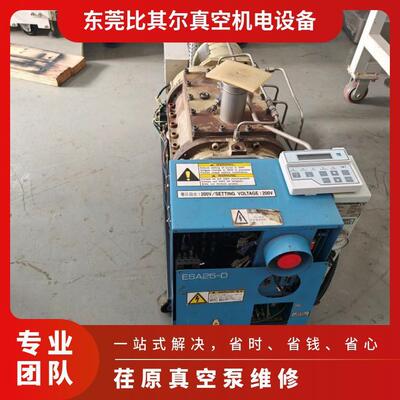 荏原螺杆真空泵维修ESA25-D 启动跳闸故障专业师傅处理