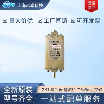 巴斯曼熔断器 170M2821 170M2866 170M2970 170M2972 170M2984