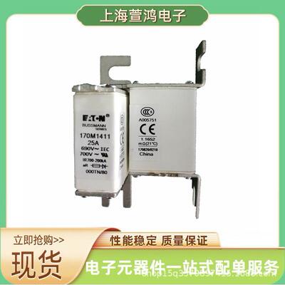 170M6159 170M6160 170M6161 170M6162原装 直流熔断器 熔断熔芯