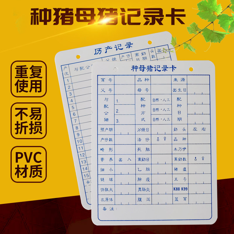 加厚种母猪记录卡双面分娩档案管理卡畜牧养殖器械妊娠母猪历产卡