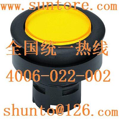 德国RAFI带灯按钮开关型号1.30.090.011/1400黄色RAFIX 16 F