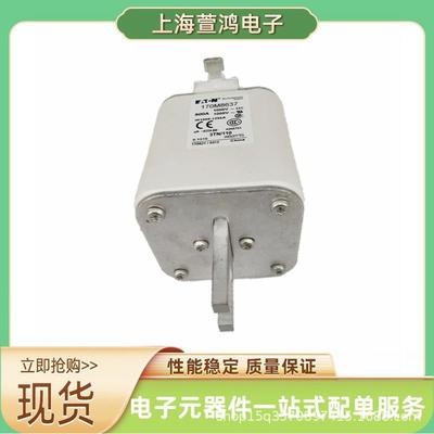 170M8610 170M8611 170M8612 170M8613原装 低压熔断器保险丝