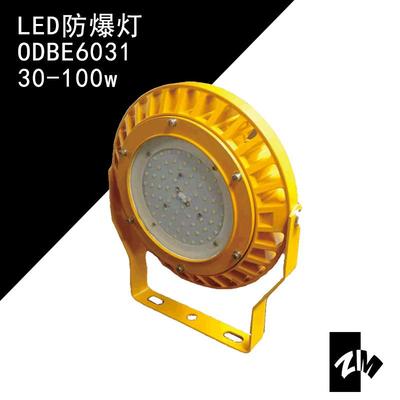 海洋王LED防爆灯20wLED防爆灯30wLED防爆灯40wLED防爆