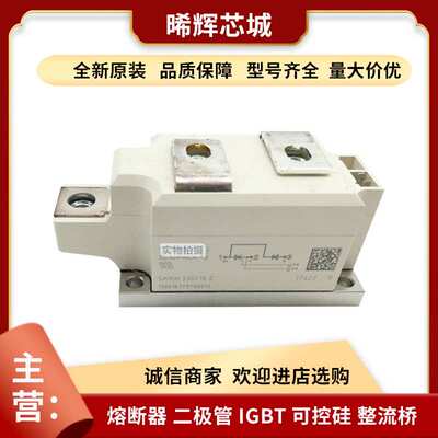 SKKH500/14E SKKH500/16E 库存充足 型号齐全大功率可控硅双向