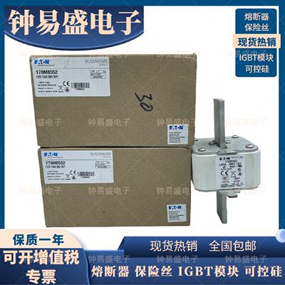 美国EATONBussmann保险丝170M8552170M8550690V巴斯曼熔断器