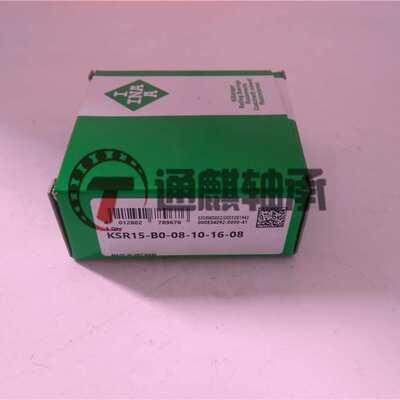 德国INA链传动惰轮轮齿单元KSR15-B0-08-10-16-08 RAE15NPP-C5轴