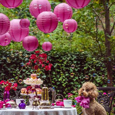 20Pcs玫红色灯笼套装情人节烂漫装饰灯笼折叠悬挂纸灯笼庭院布置