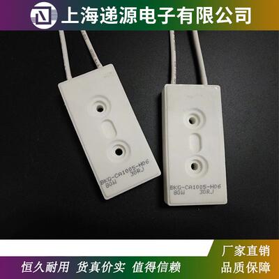 BKG磁带水泥方壳变频器启动充电电阻80W10R20R30R40R50R75R100R欧