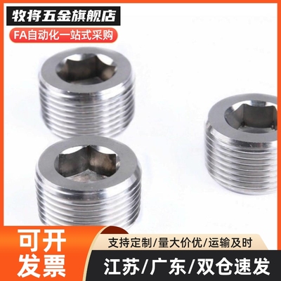 锥型沉头螺塞 堵头 MSWTSK J S 1 2 3 4 6 8 不锈钢带密封涂层型