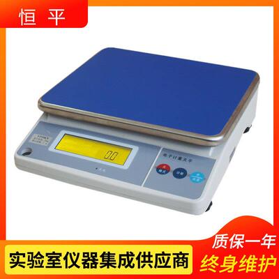 上海恒平YP10KN大称量电子天平