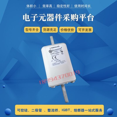 快速熔断器保险丝 170M4179/4180/4181/4182/4183/4184/4185/4186