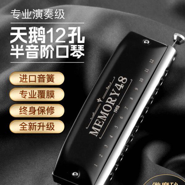 SWAN天鹅12孔48音C调半音阶口琴初学入门学生用练习专业演奏乐器