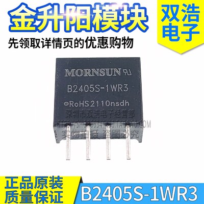 B2403S B2409S B2412S B2415S B2424S B2405S-1WR3/-2WR3电源模块