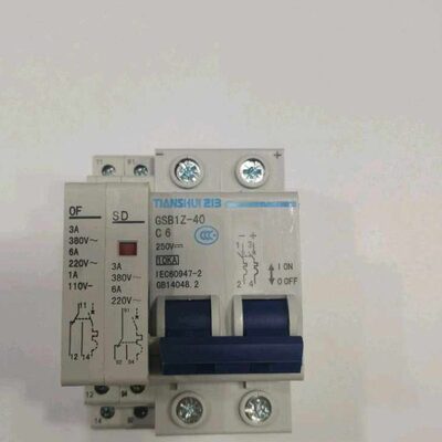 天水二一三 GSB1Z-40 2P +OF+SD小型直流断路器  天水213断路器