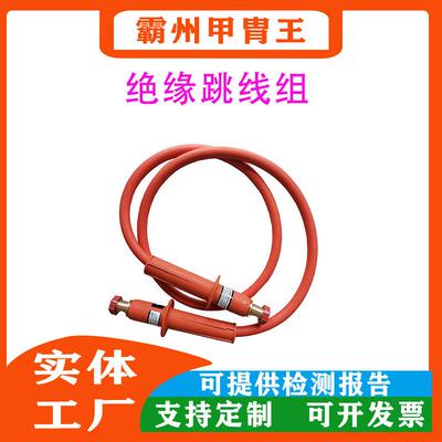 2265双头高压分流线绝缘旁路跳线组2266临时引流线电缆