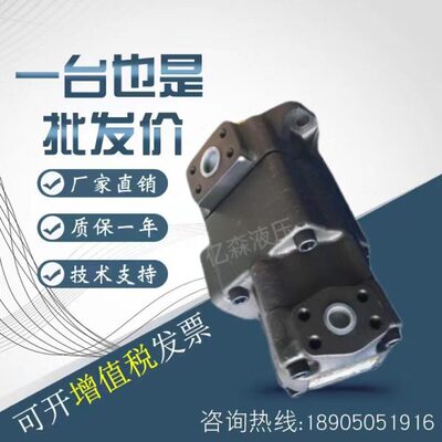 凯嘉KCL叶片泵KT6D-014/017/020/024/028/031-1R00/02/03-B1