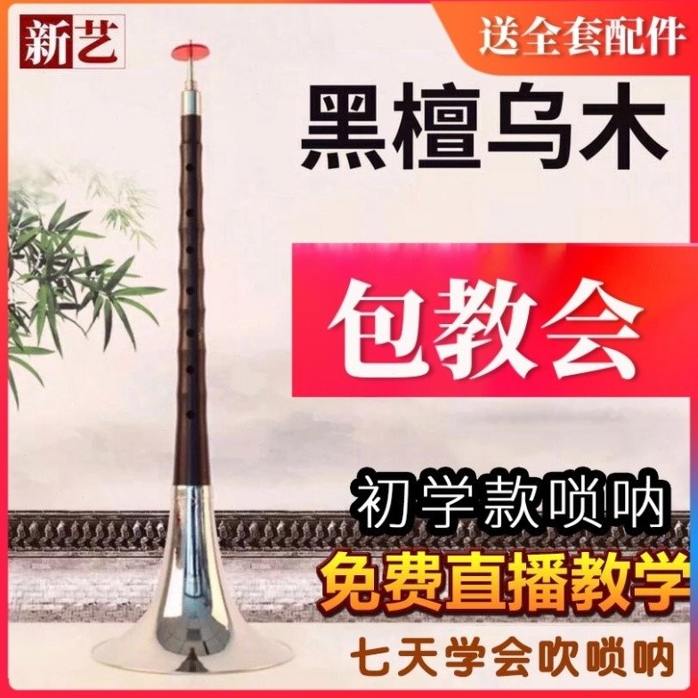新艺演奏专业乌木黑檀木唢呐乐器全套d调D调初学者入门大小号喇叭