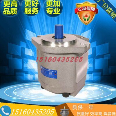 合肥长源齿轮泵 CBQZ-F520/F525/F532/F540/F550/F563-AFΦ/AFΦL