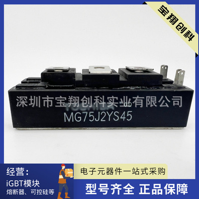 MG75J2YS4550J2YS45100J2YS45150J2YS45200J2YS45300J2YS45