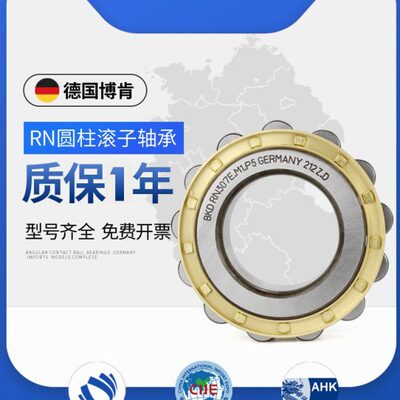 德国BKD进口圆柱滚子轴承RN311圆柱312滚子313 315 319EM轴承大全