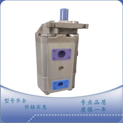 三一泵车PLM20.16R5-55B2-L0C/0C-N-L-D-DH卡萨帕风冷水齿轮马达