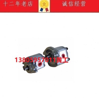 台湾康百世KOMPASS齿轮泵P204RN01DT P204RP01DT P204RU01DT F