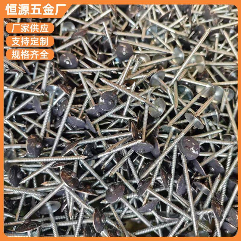 喷漆穿胶垫瓦楞钉大头钉彩帽搓丝瓦楞钉镀锌水泥墙用钉子