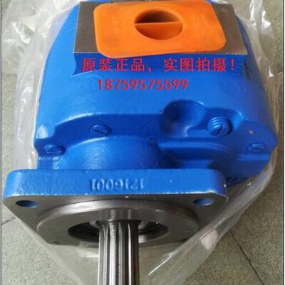 原装 天津泊姆克齿轮泵P7200-F80NL467 6/P124-G10MGY03G-1