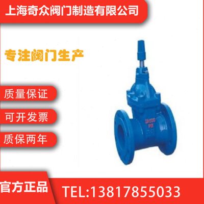 RVCX弹性座封闸阀 双向常压防腐法兰闸阀DN50