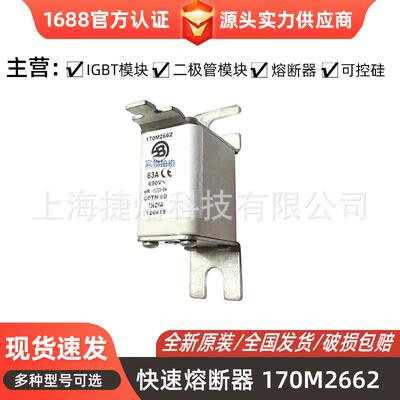 170M2662 170M2663 170M2664 快速熔断器断路器 库存充足型号齐全