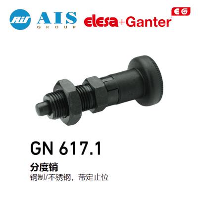 ELESA+GANTER伊莉莎冈特原装分度销GN 617.1-8-A