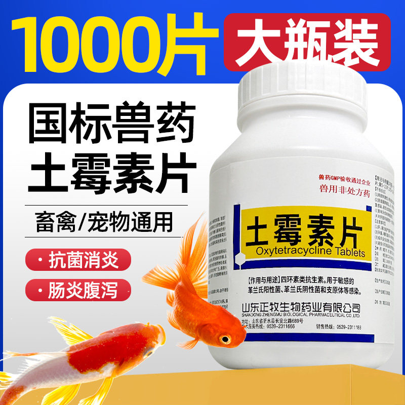 鱼用土霉素1000片肠炎拖便抗菌消炎兽用药厌食烂尾烂身水族观赏鱼