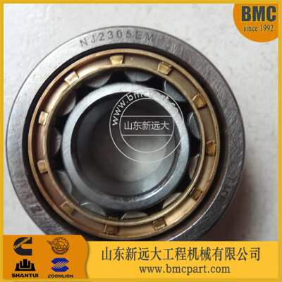 推土机轴承06000-22210 山推轴承GB288-22210C 山推SD22原厂轴承