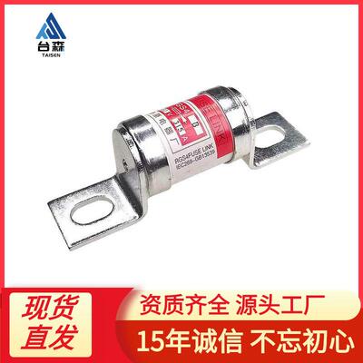 熔断器RGS4/A/B，RGS11/12,螺栓安装陶瓷熔断体，高压保险丝