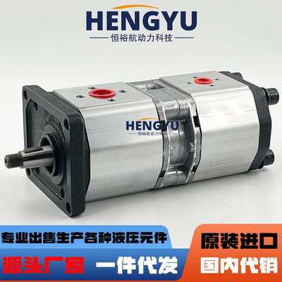 马祖奇油泵MARZOCCHI齿轮泵ALPA2-D-20-EP+ALPP2D-13-EP液压泵