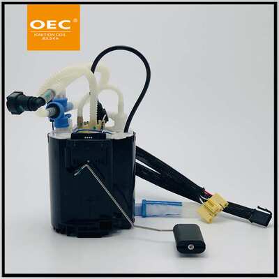 MP1780G CPLA9A407AB A2C8043930080 LR077703适用路虎燃油泵总成