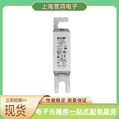 原盒170M3819 170M3901 170M3902 170M3903熔断器标准 电流保护