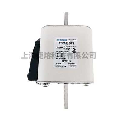 170M6252  170M6253 快速熔断器  保险丝 电子元器件 量大价优