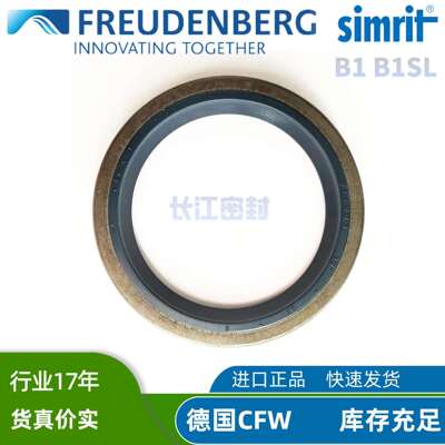 B1 fud3sl油封 德国SIMRIT科德宝进口密封件CFW