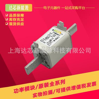 170M3708 170M3709 170M3710 170M3711 170M3712 170M3713熔断器
