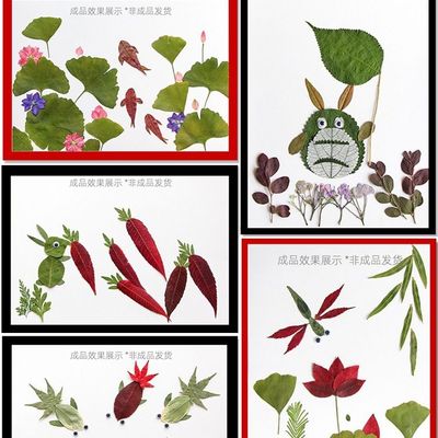 真树叶粘贴画材料包春天植物标本落叶子儿童手工diy创意拼贴作品